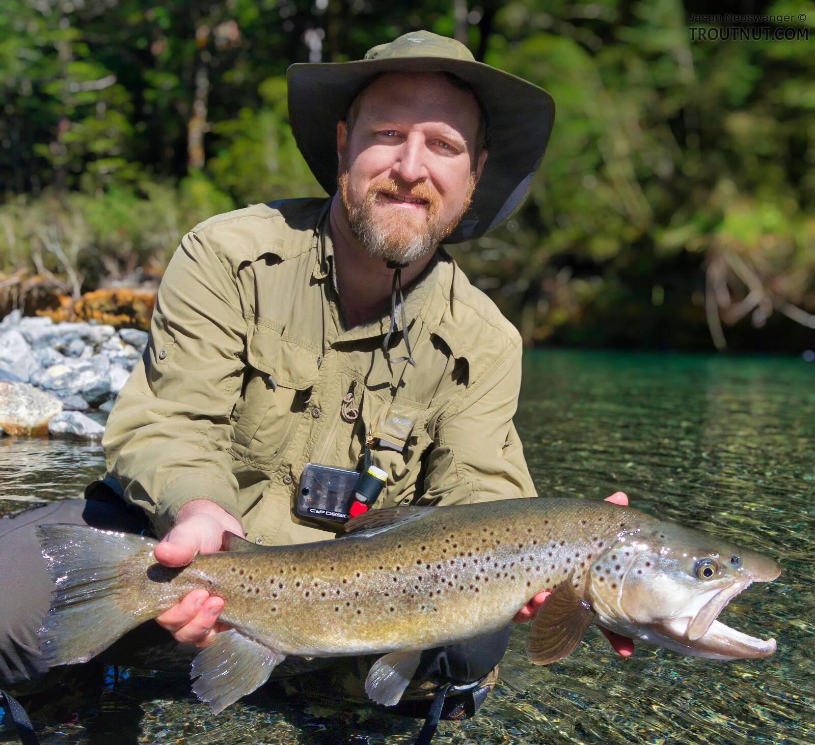Custom Hatch Charts for Trout Stream Insects in any US State or ...
