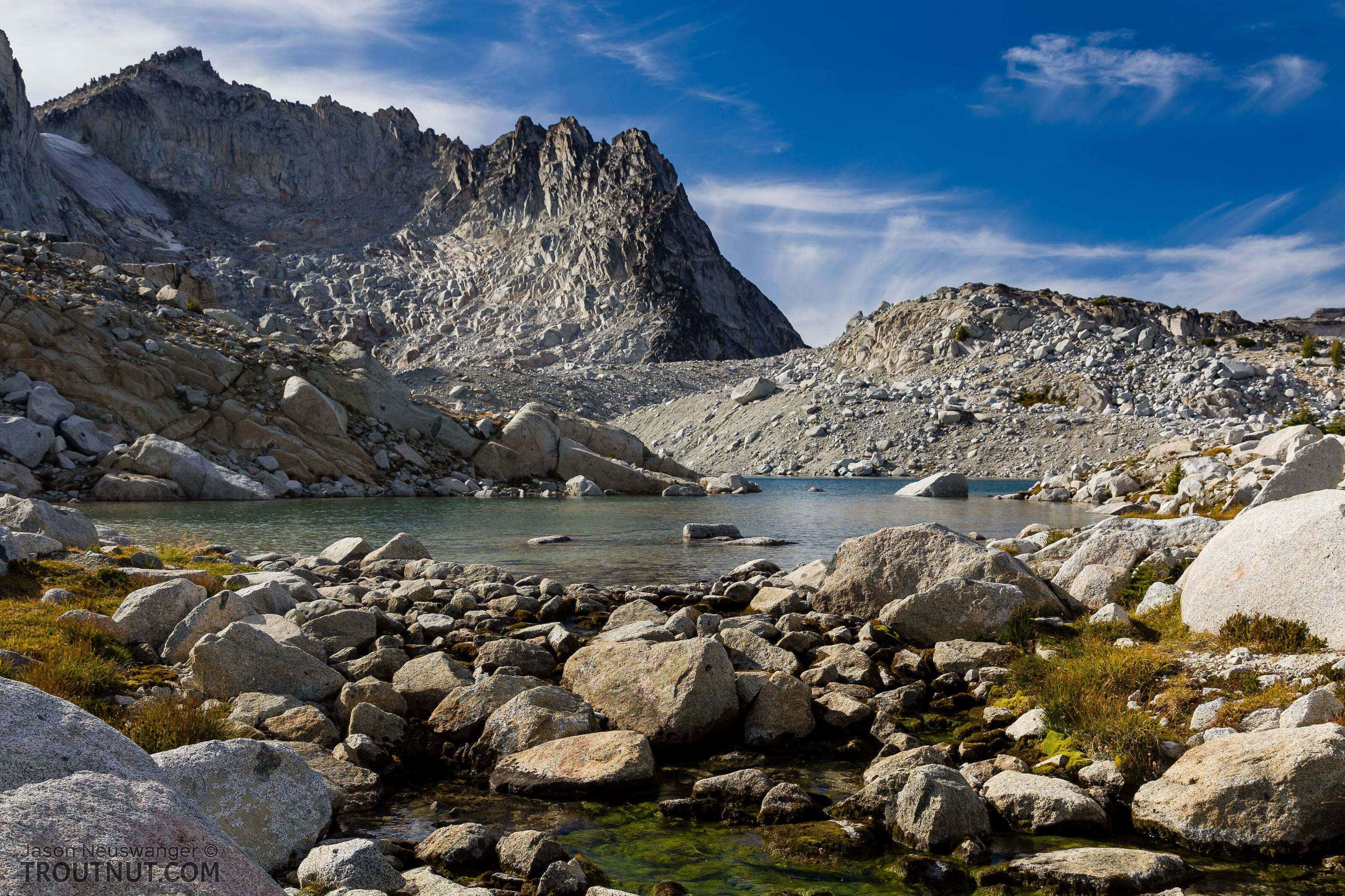 Troutnut's Nature Pictures