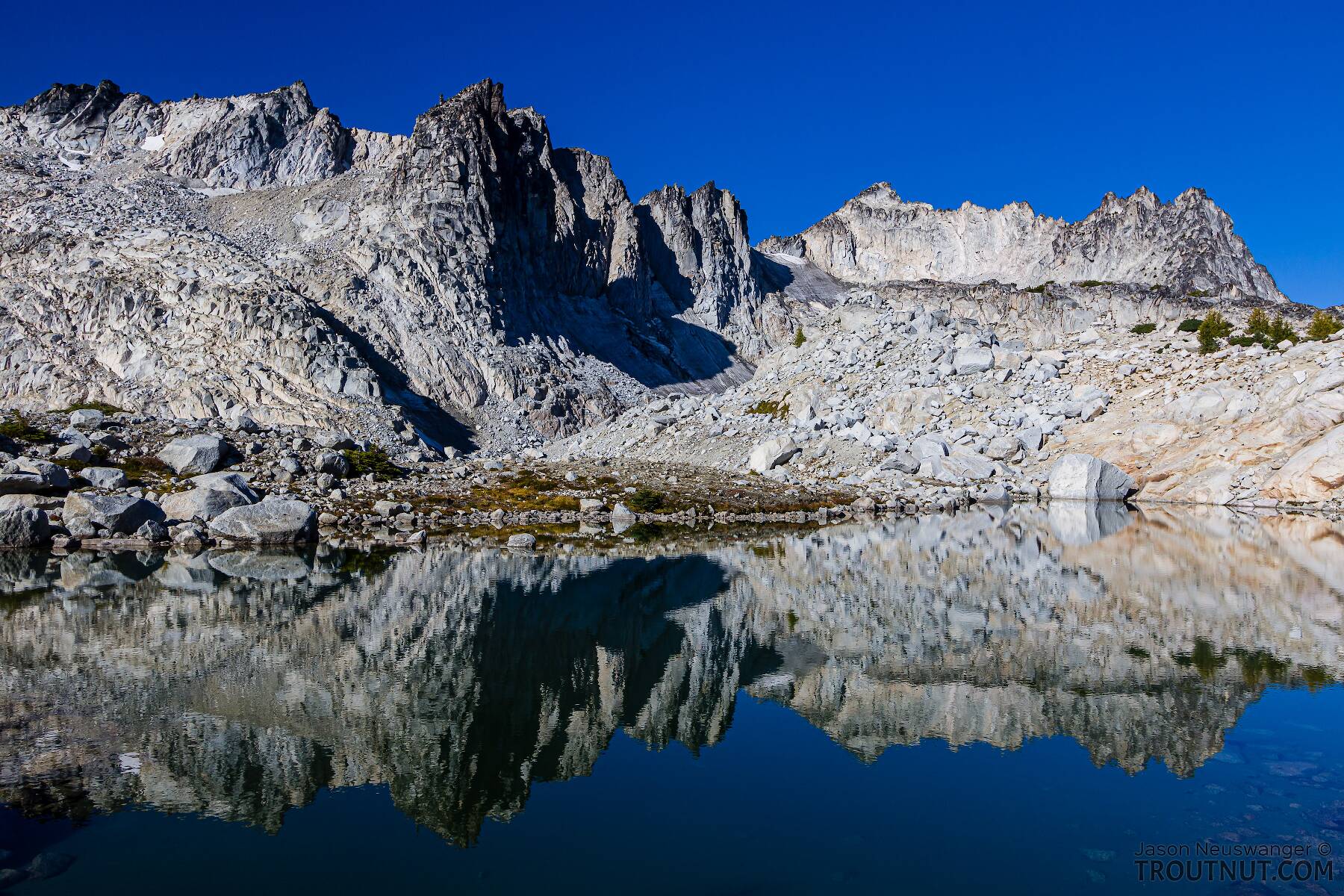 Troutnut's Nature Pictures