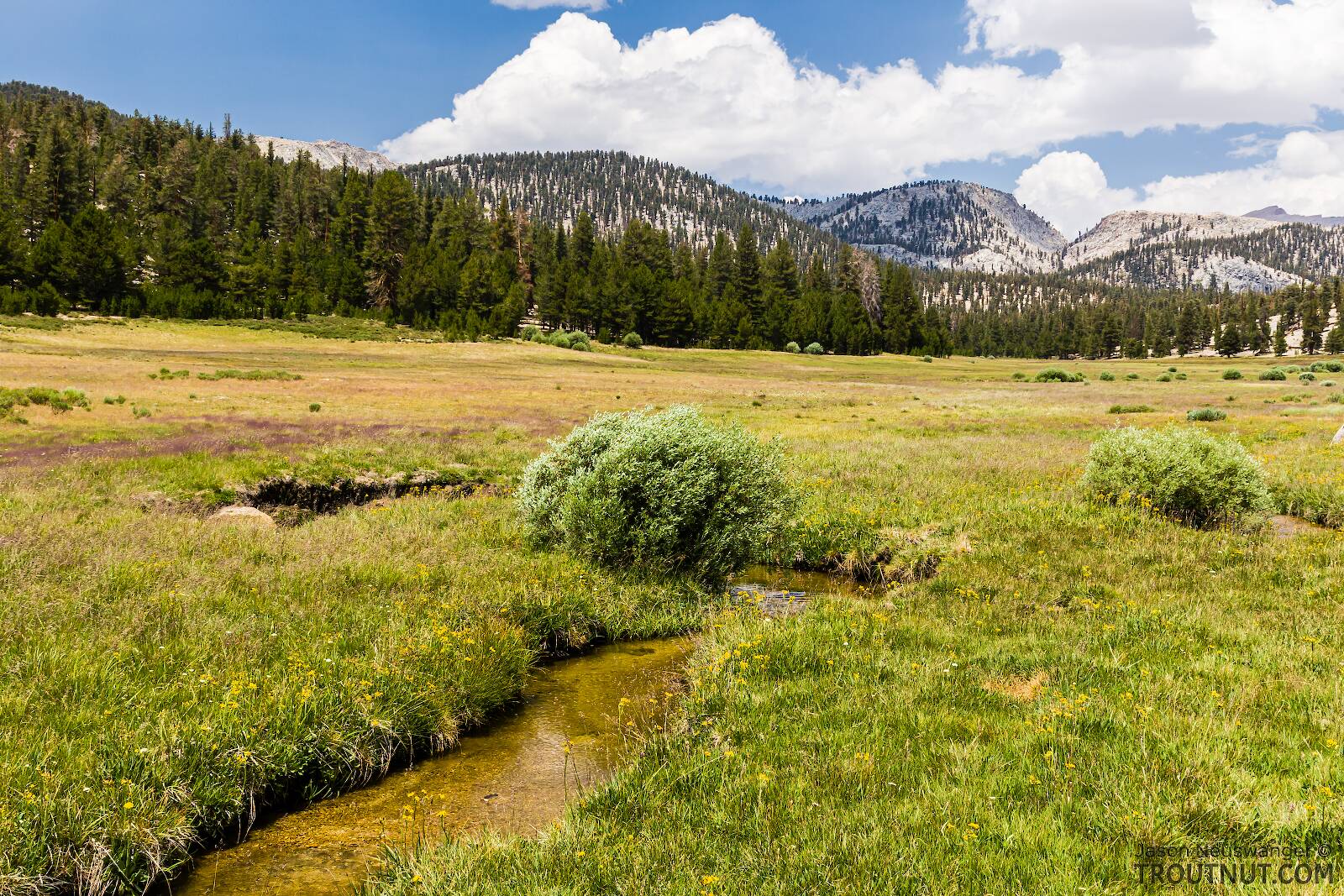 Day 1: Through Cottonwood Pass to Big Whitney Meadow on Golden Trout Creek