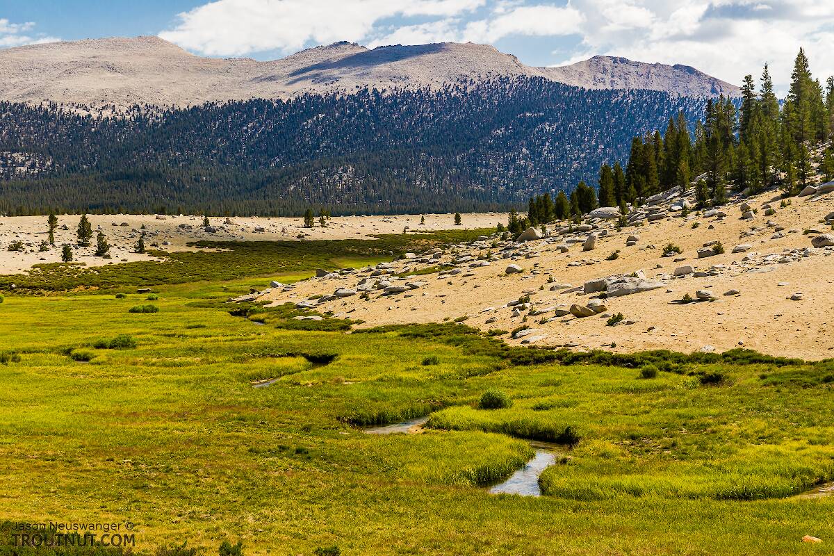 Golden Trout Wilderness Permits