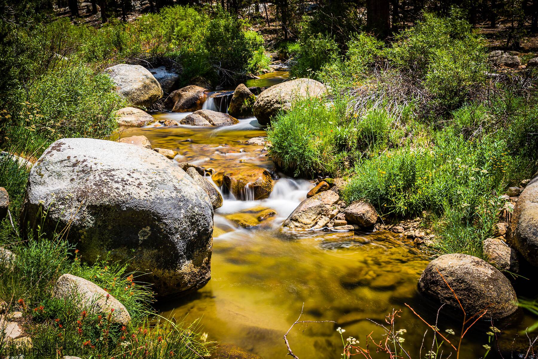 Scenic Desktop Backgrounds from Trout Streams and the Mountains