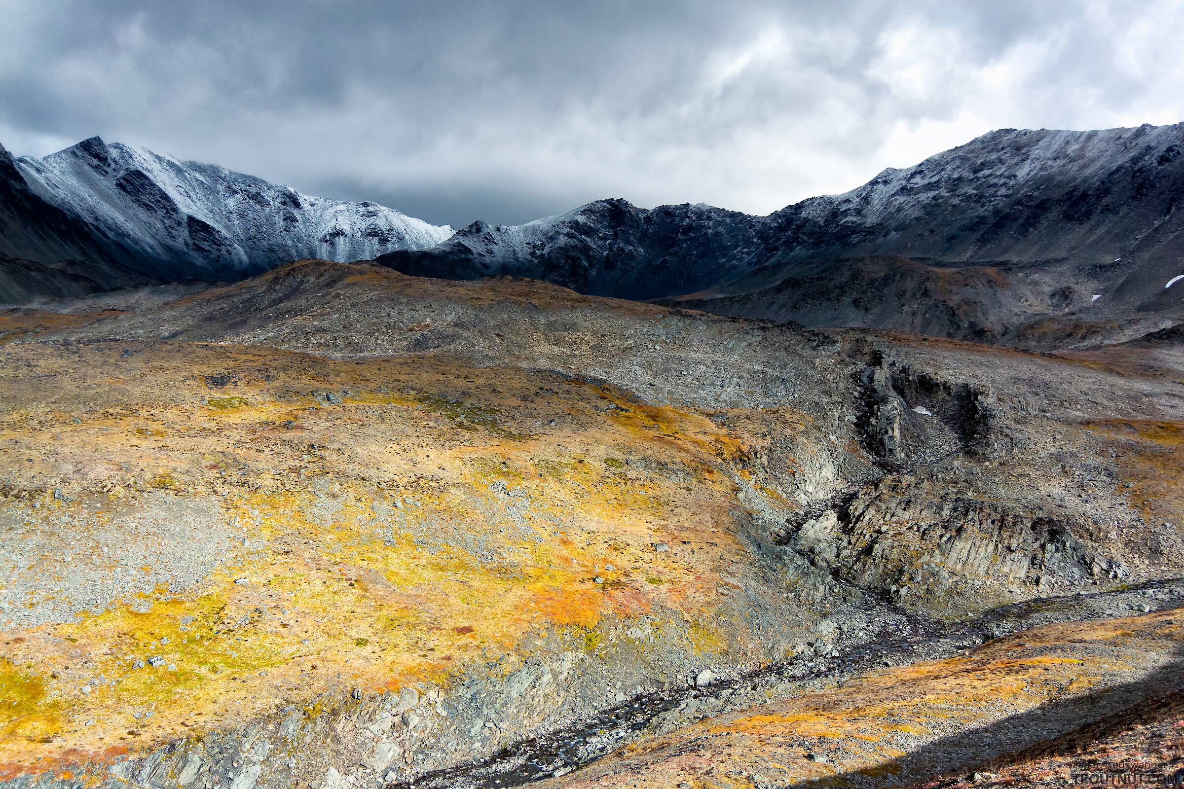 Troutnut's Nature Pictures, Page 9