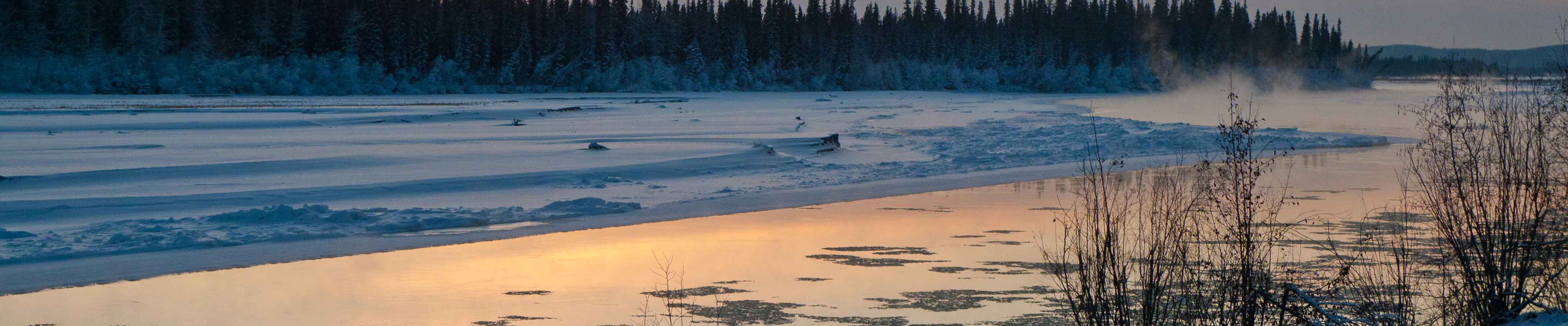 Mayfly Genus Isonychia (Slate Drakes)
