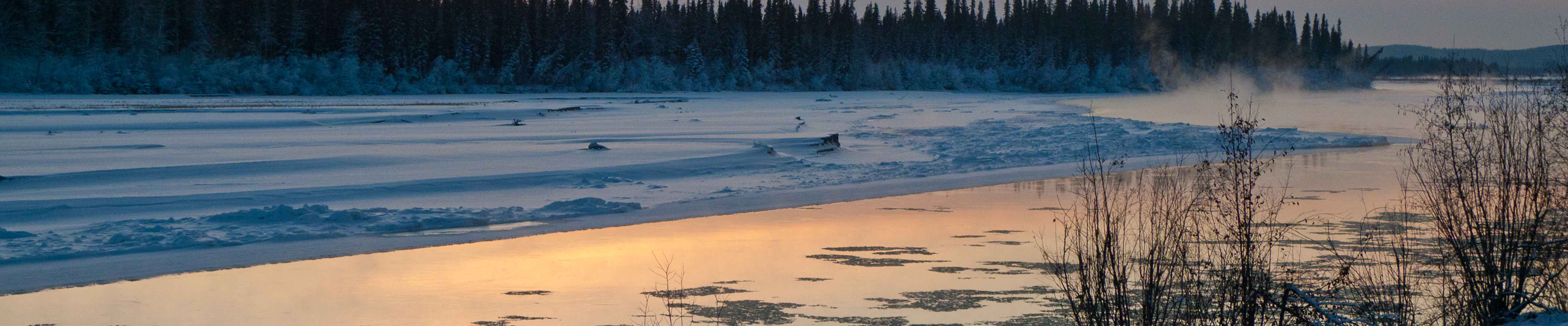 Mayfly Genus Isonychia (Slate Drakes)