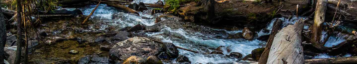 Male Ephemera simulans (Brown Drake) Mayfly Dun Pictures