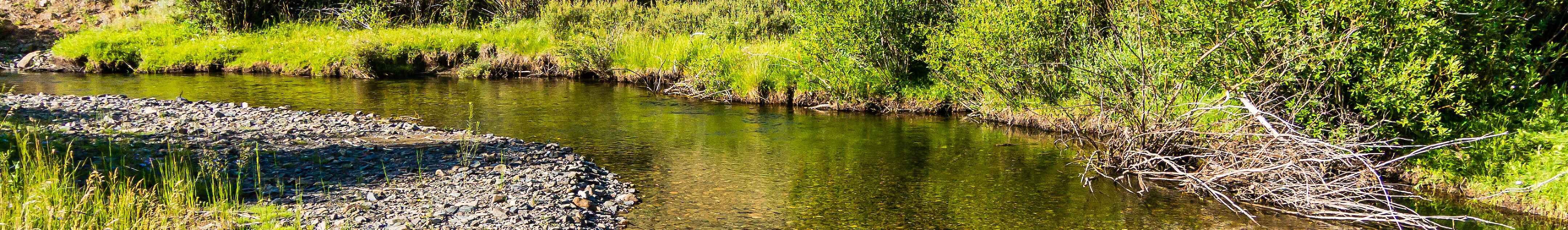 Angler's Illustrated Encyclopedia of Aquatic Entomology