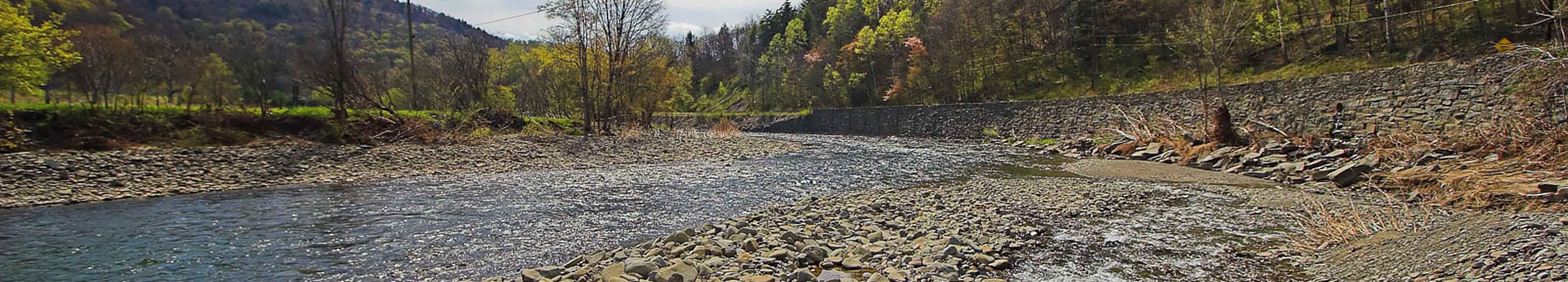 Male Ephemerella needhami (Little Dark Hendrickson) Mayfly Dun Pictures