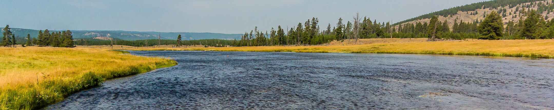 Angler's Illustrated Encyclopedia of Aquatic Entomology