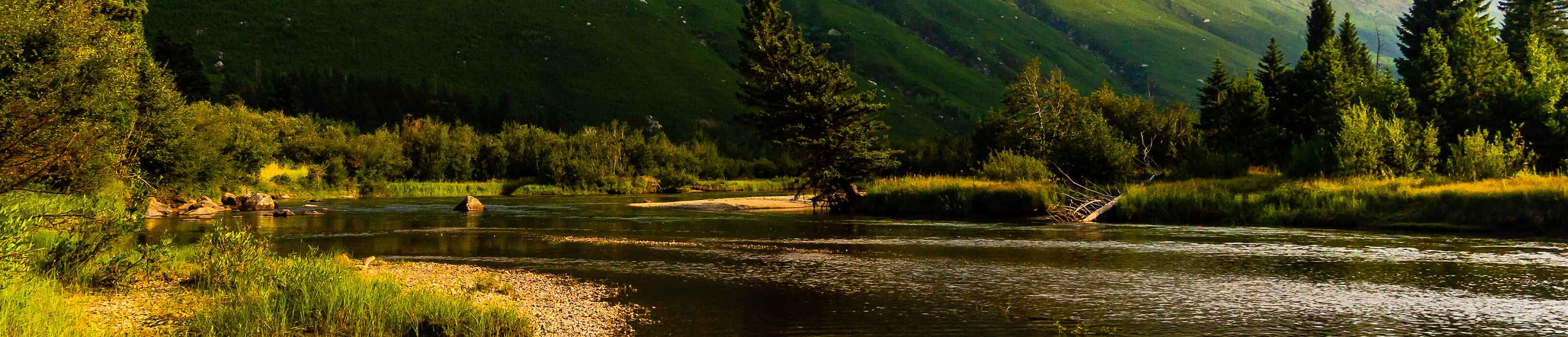 Taxonomic Keys for Aquatic Invertebrate Identification