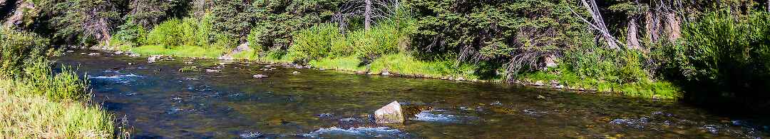 Taxonomic Keys for Aquatic Invertebrate Identification