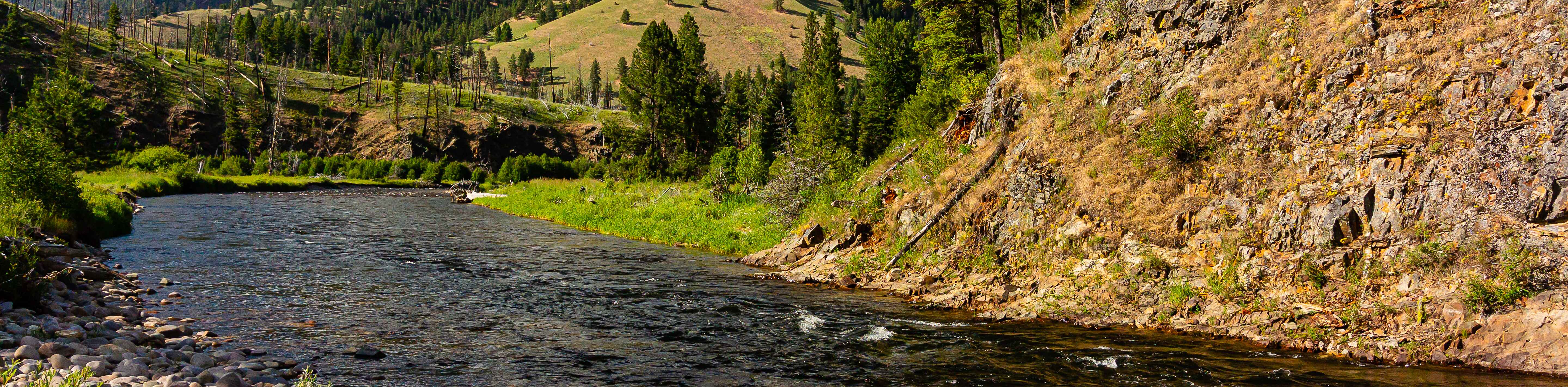 Troutnut's Best Pictures of Trout, Salmon, and Grayling