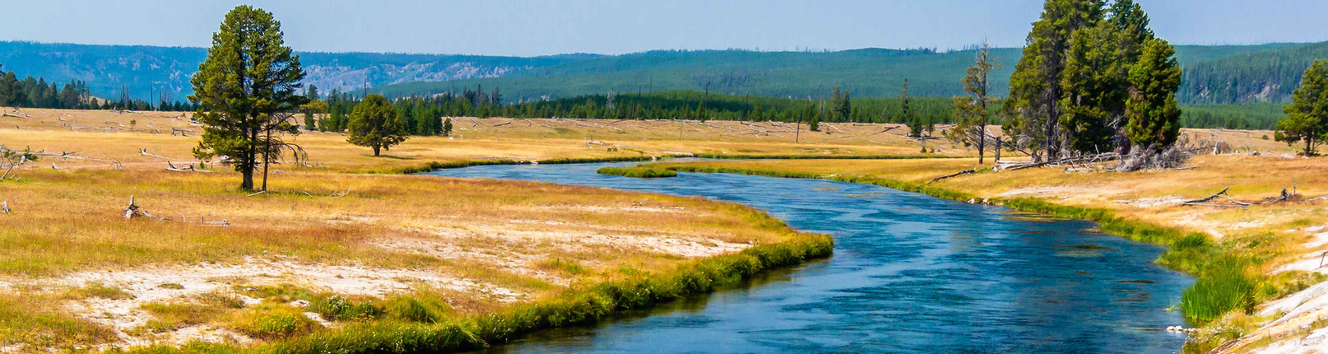 Female Stenonema vicarium (March Brown) Mayfly Spinner Pictures