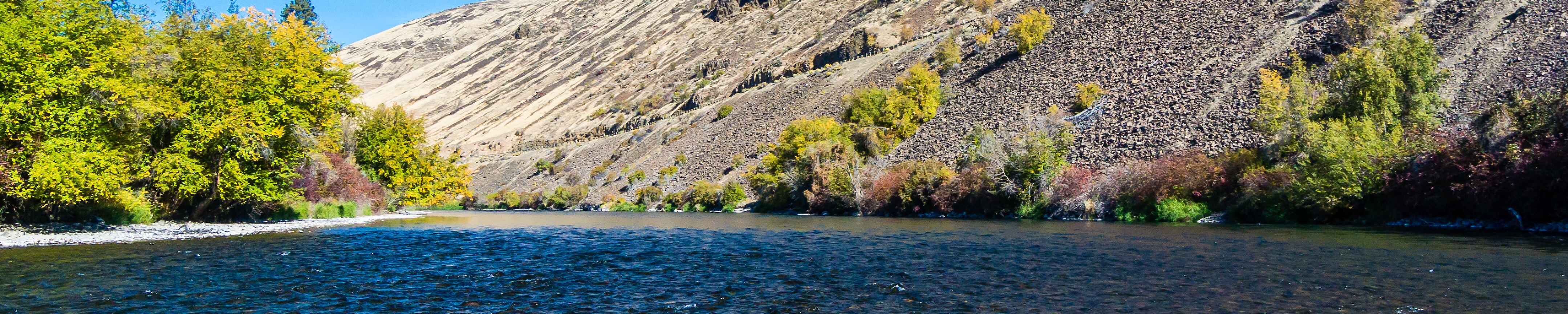 Male Ephemera simulans (Brown Drake) Mayfly Dun Pictures