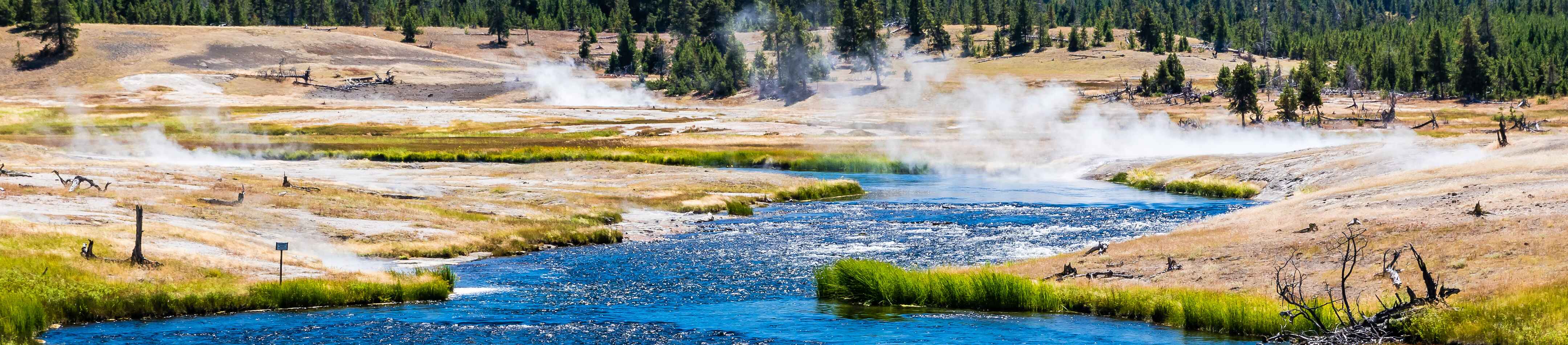 Mayfly Species Ephemera simulans (Brown Drakes)