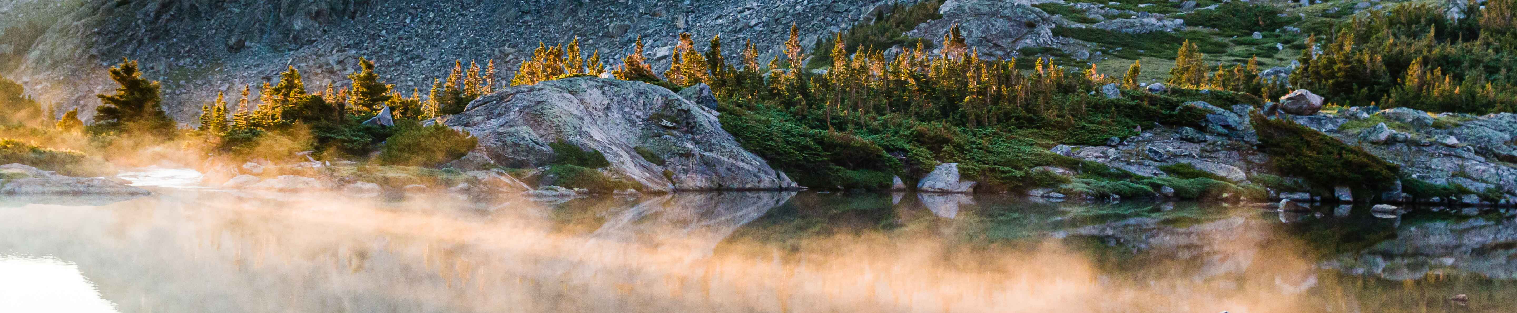Stenonema vicarium (March Brown) Mayfly Nymph Pictures