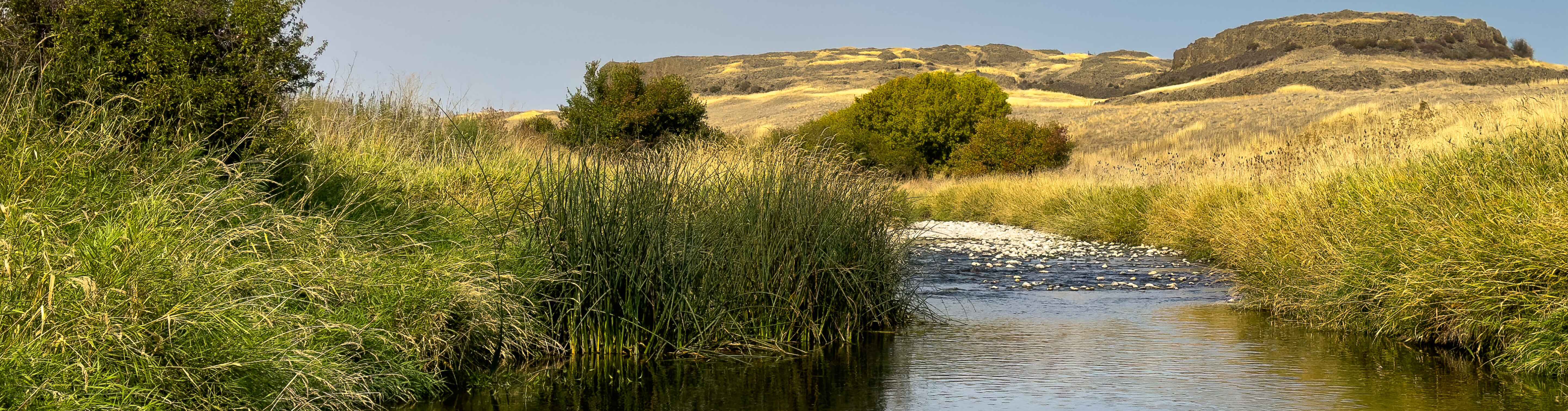 Troutnut's Best Pictures of Trout, Salmon, and Grayling