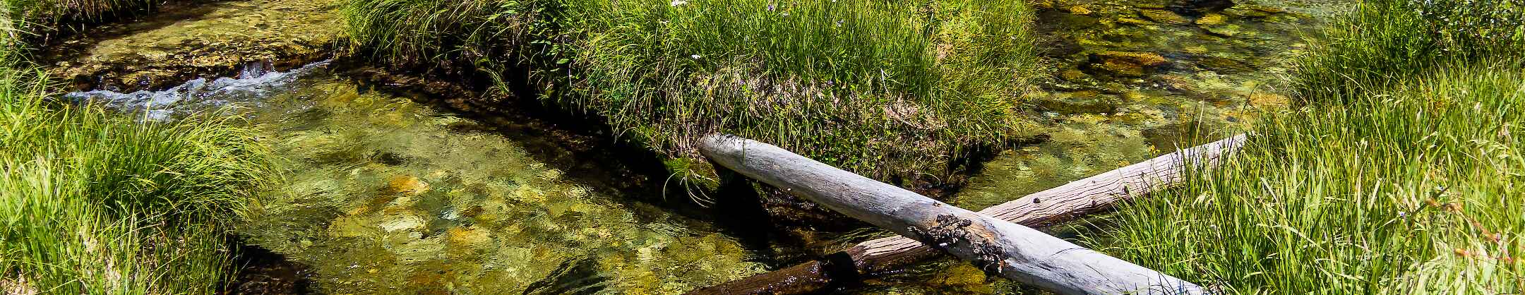 Troutnut's Nature Pictures