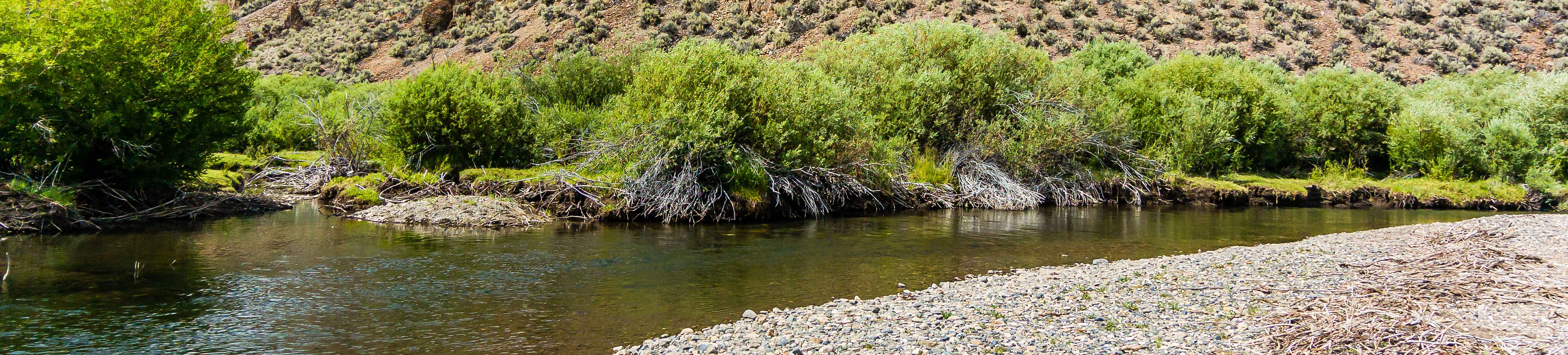 The Couderay River, Wisconsin