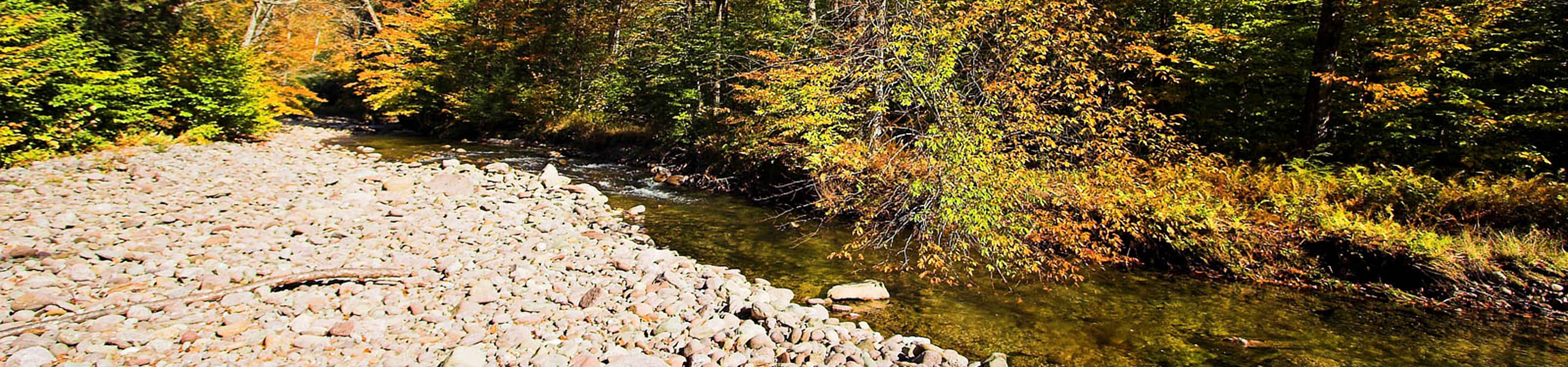 Underwater Pictures from Trout Streams, Page 3