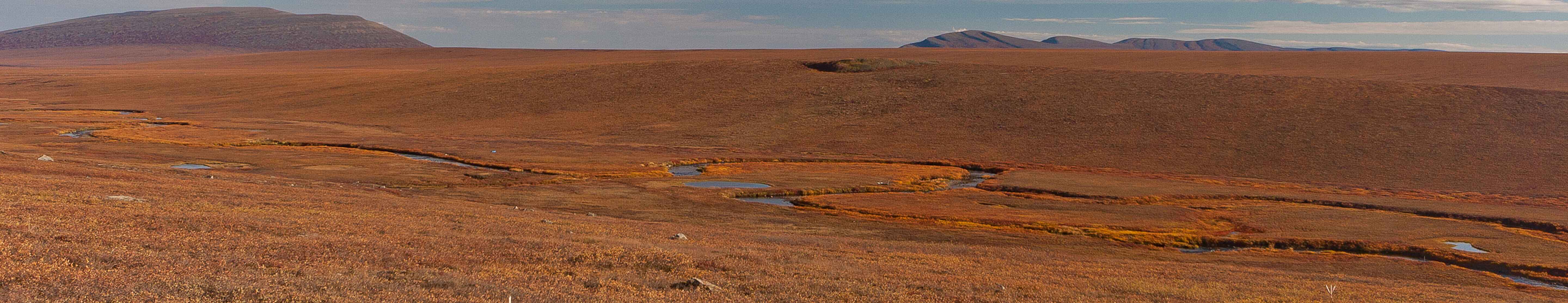 Angler's Illustrated Encyclopedia of Aquatic Entomology