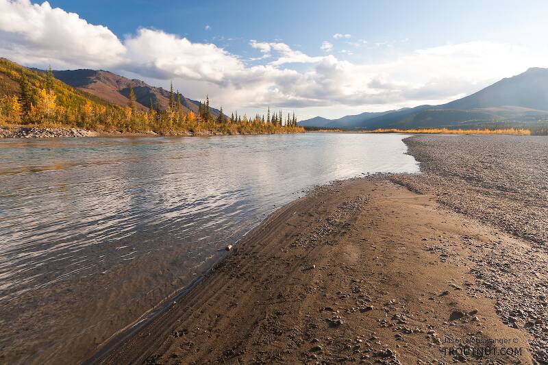 The Middle Fork of the Koyukuk River, Alaska