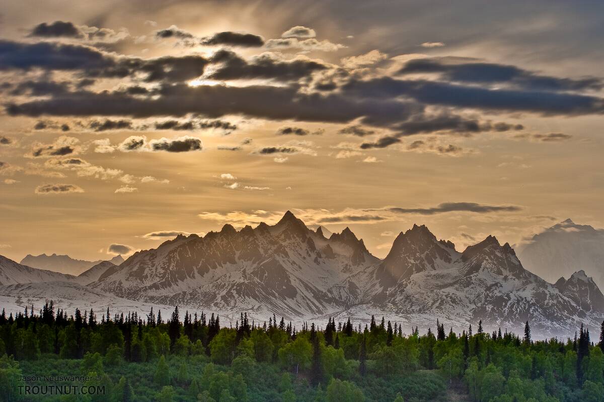Alaska Range and Denali views from the Parks Highway in May 2009