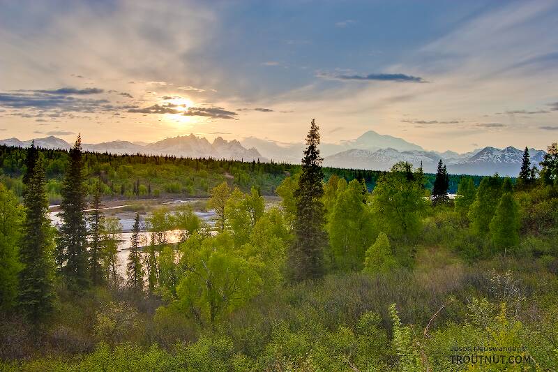 Alaska Range and Denali views from the Parks Highway in May 2009