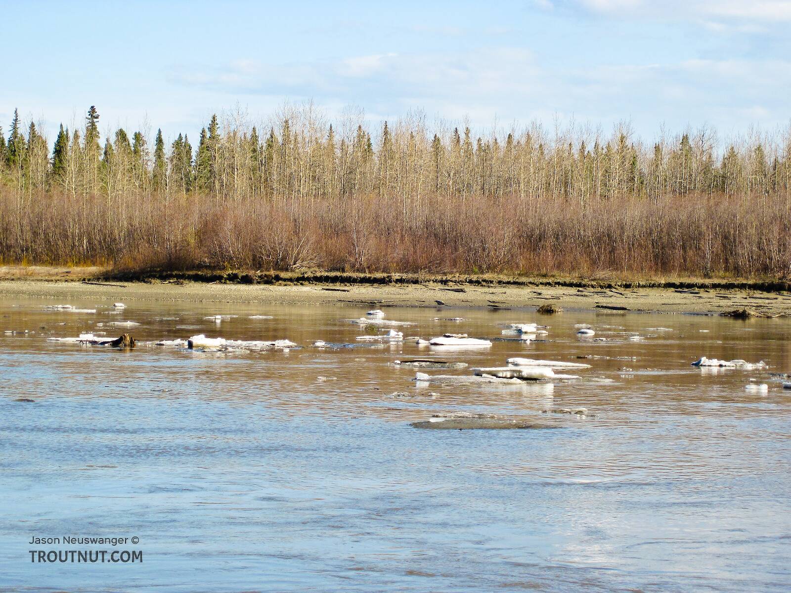 The Tanana River, Alaska