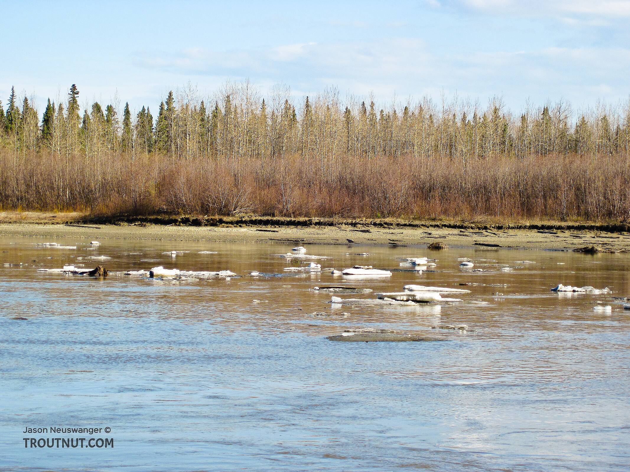 The Tanana River, Alaska