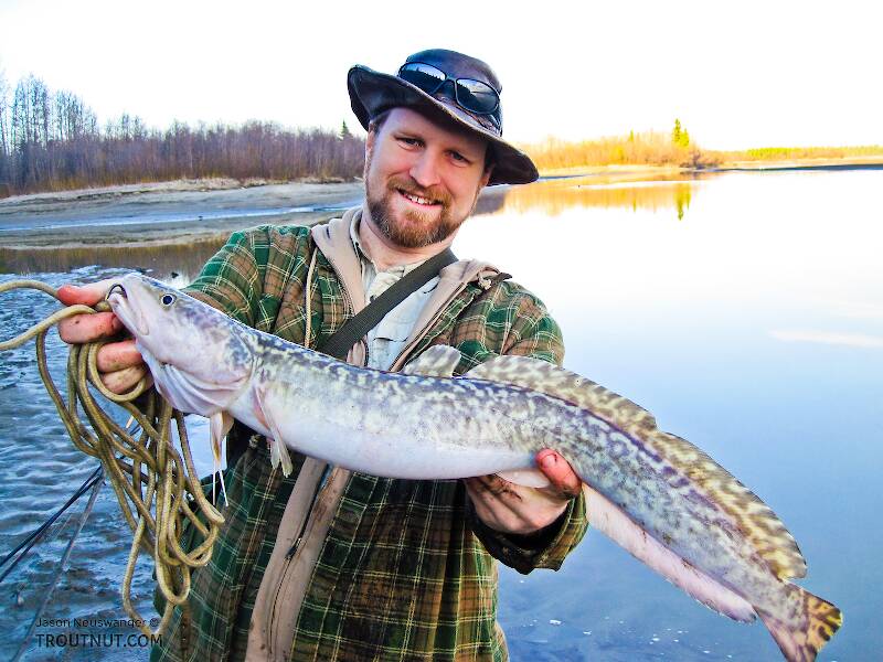 The Tanana River, Alaska