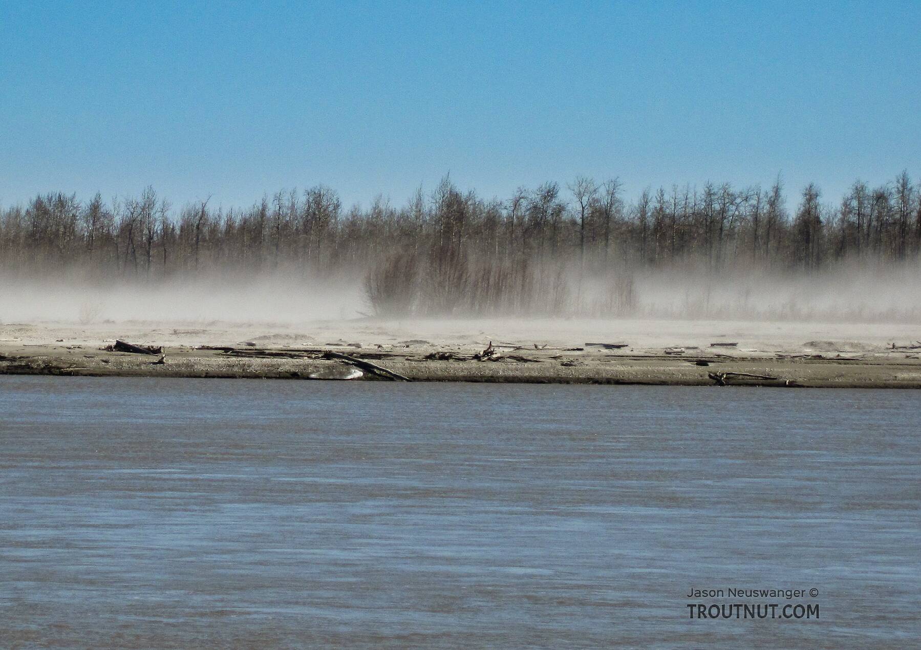 The Tanana River, Alaska