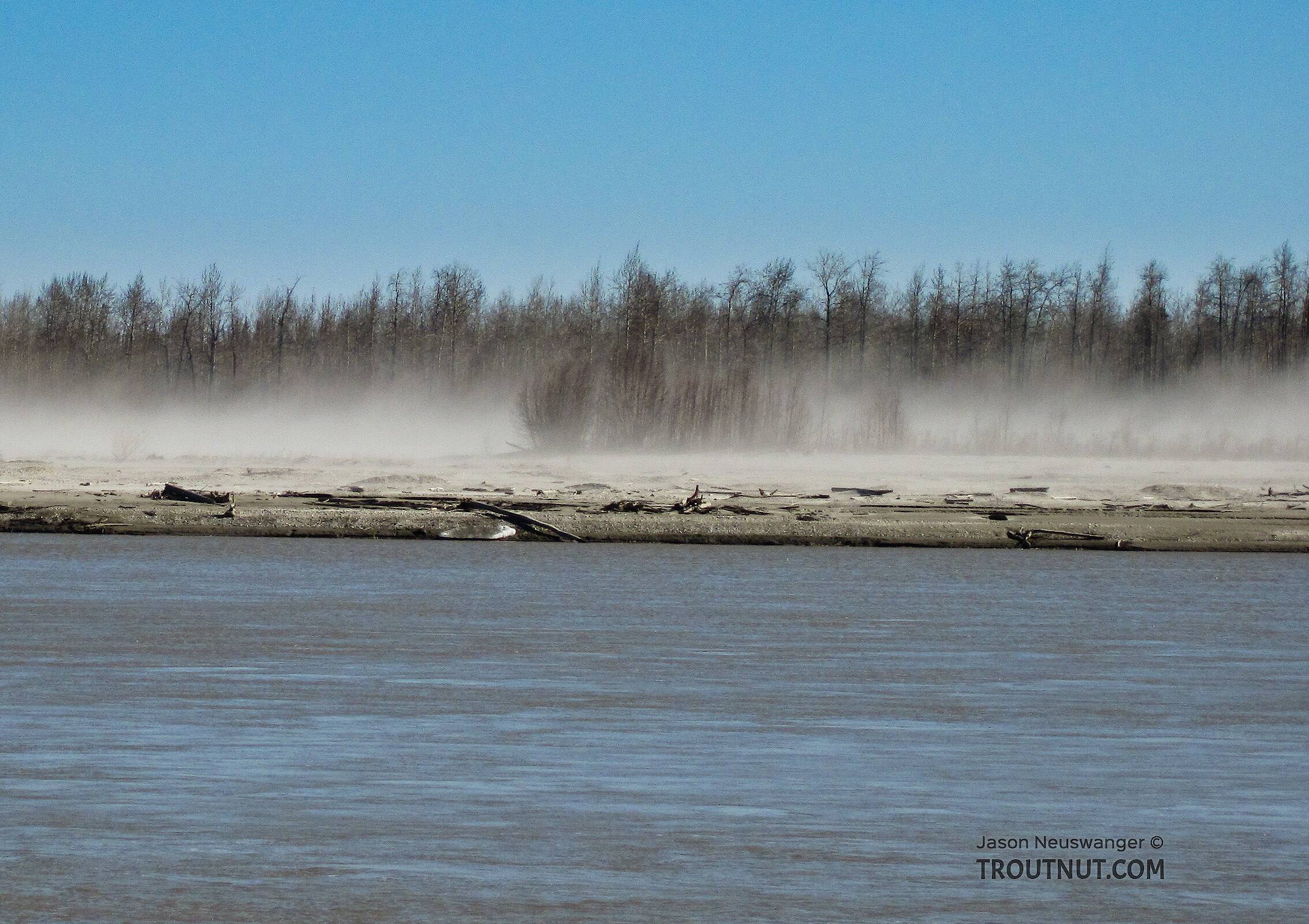 The Tanana River, Alaska