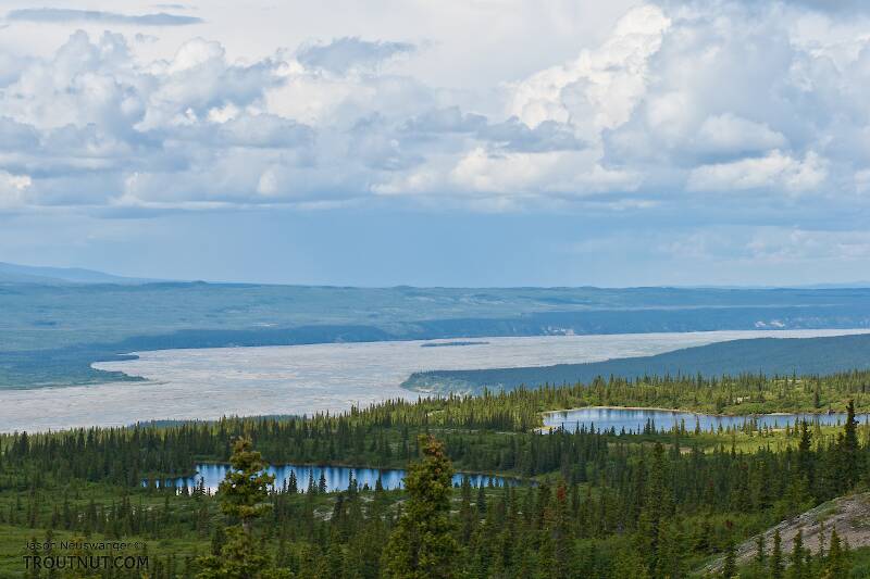 The Delta River, Alaska