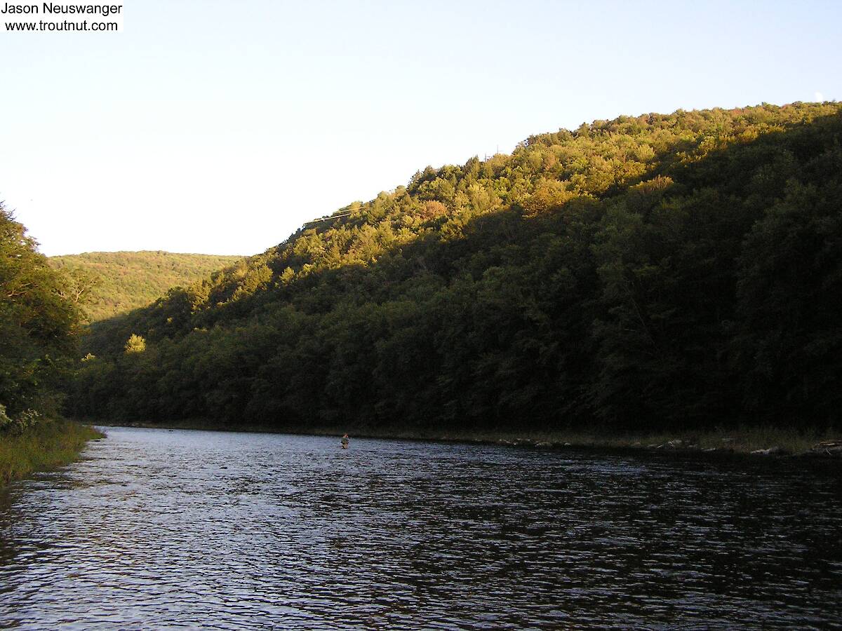 The Beaverkill River, New York