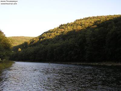 The Beaverkill River, New York