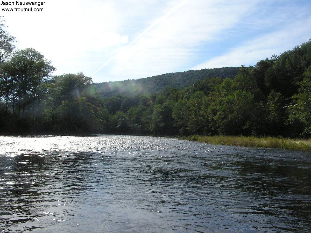 The Beaverkill River, New York