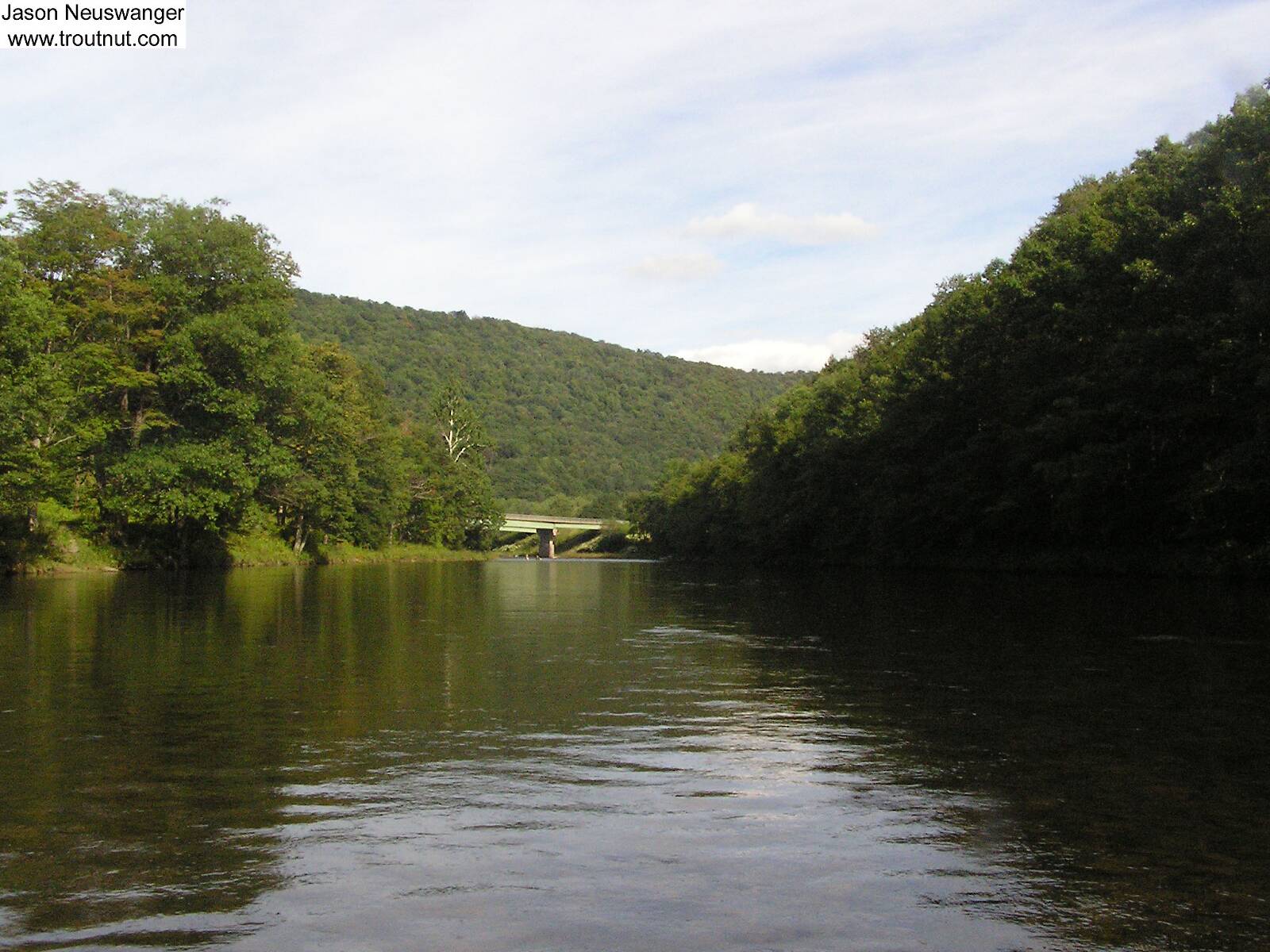 The Beaverkill River, New York