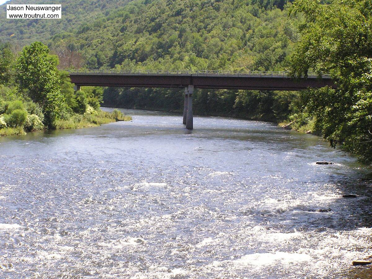 The Beaverkill River, New York