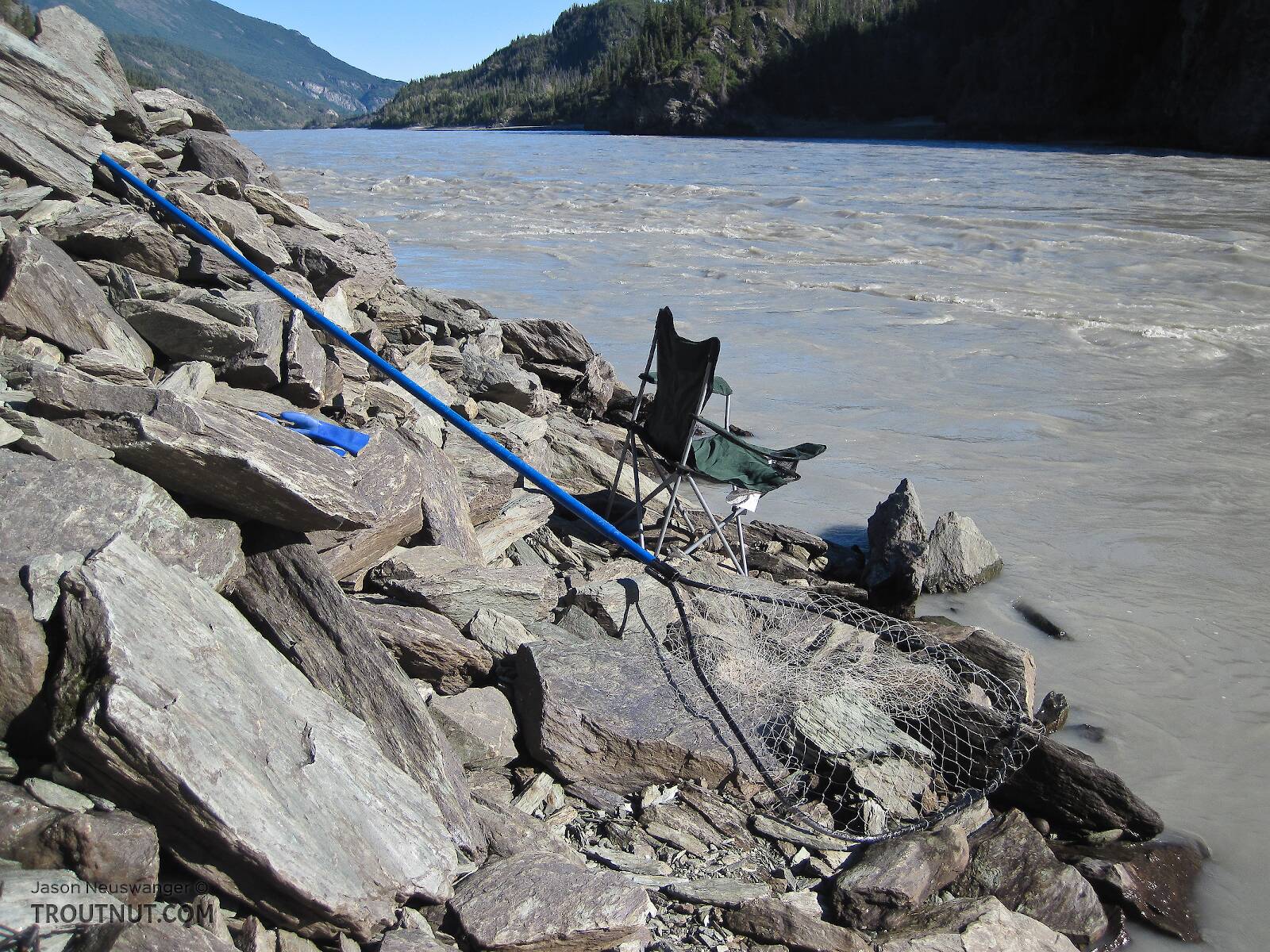 Dipnetting for sockeye salmon in the Copper River at Chitina, Alaska
