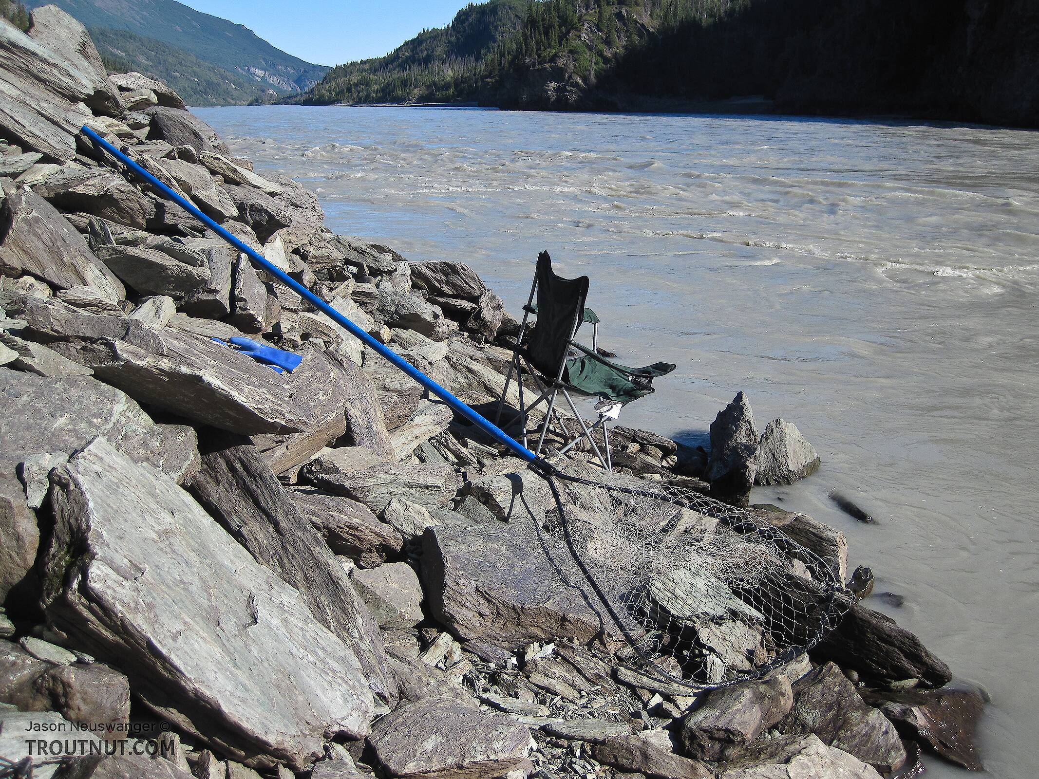 Dipnetting for sockeye salmon in the Copper River at Chitina, Alaska