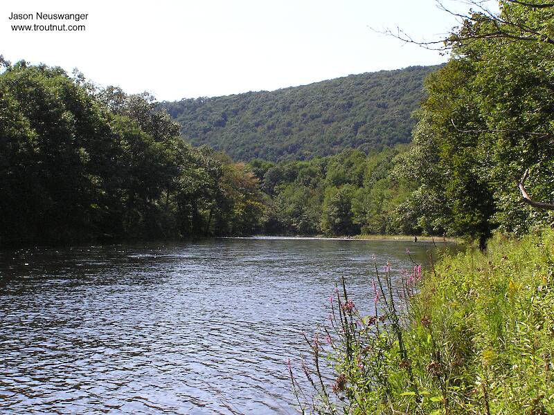 The Beaverkill River, New York