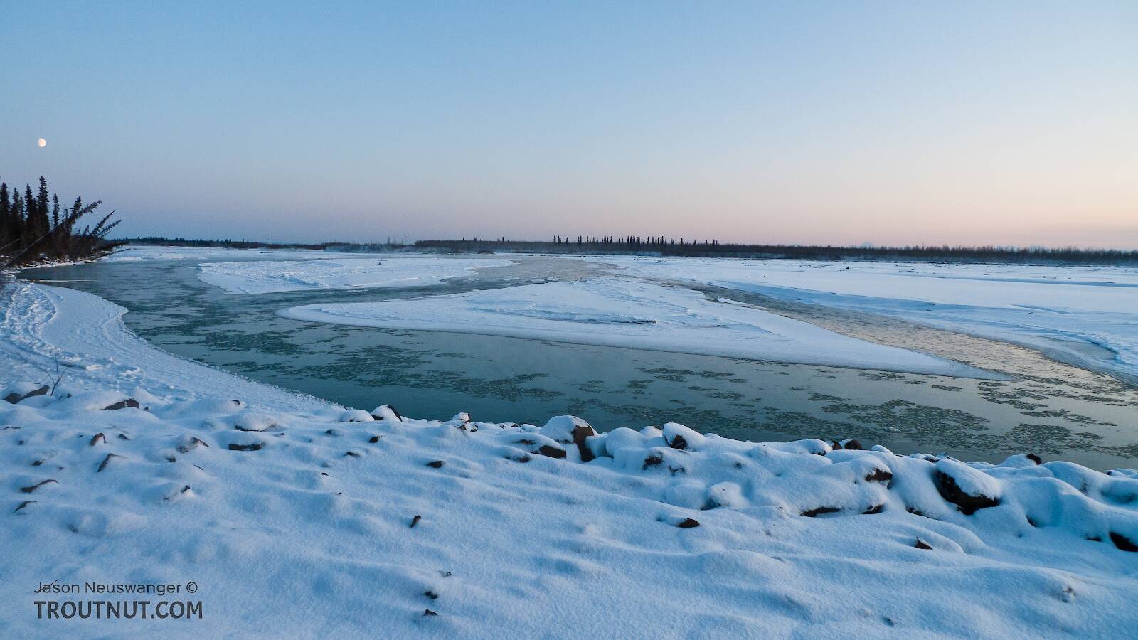 The Tanana River, Alaska
