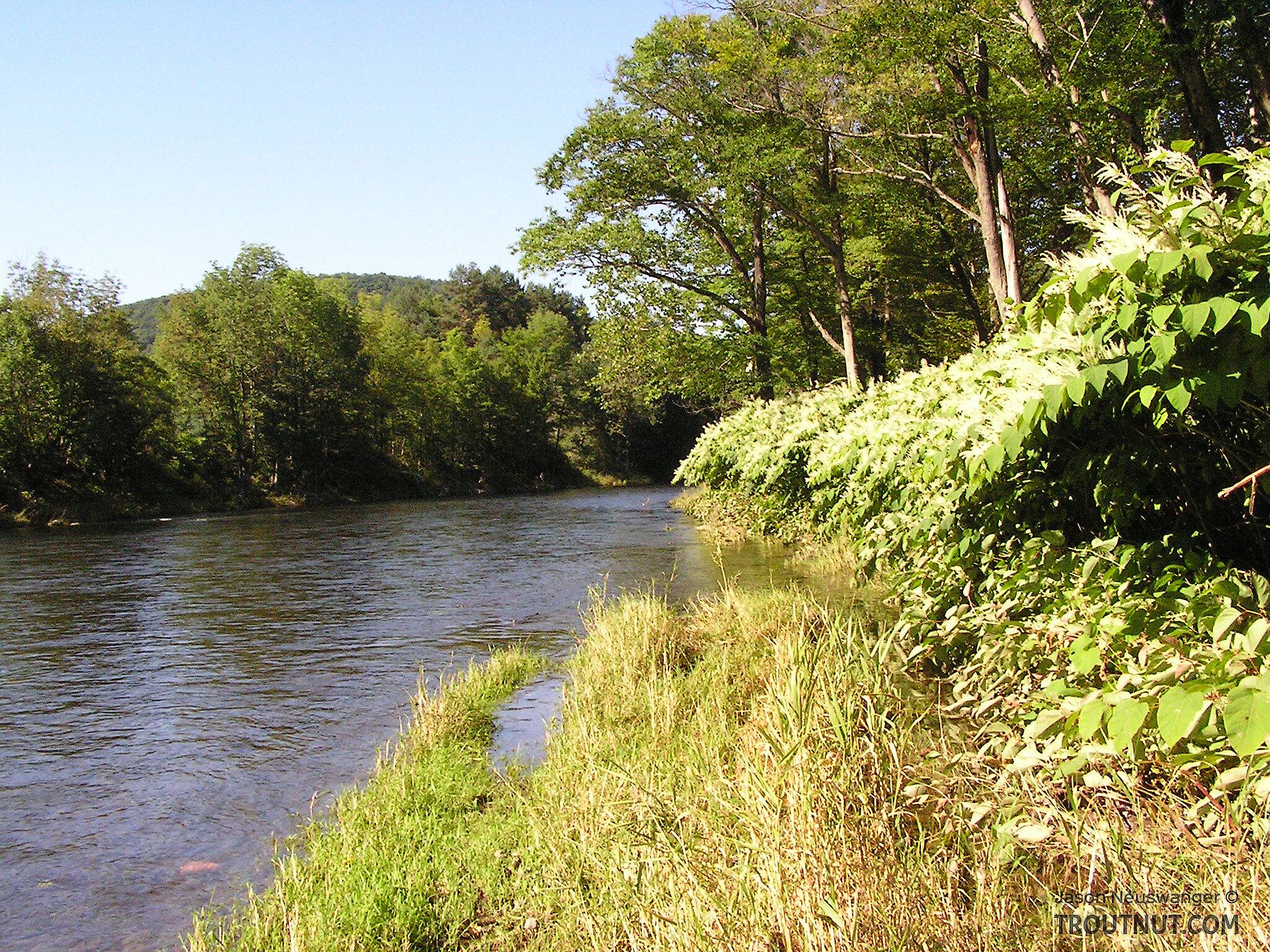 The Beaverkill River, New York