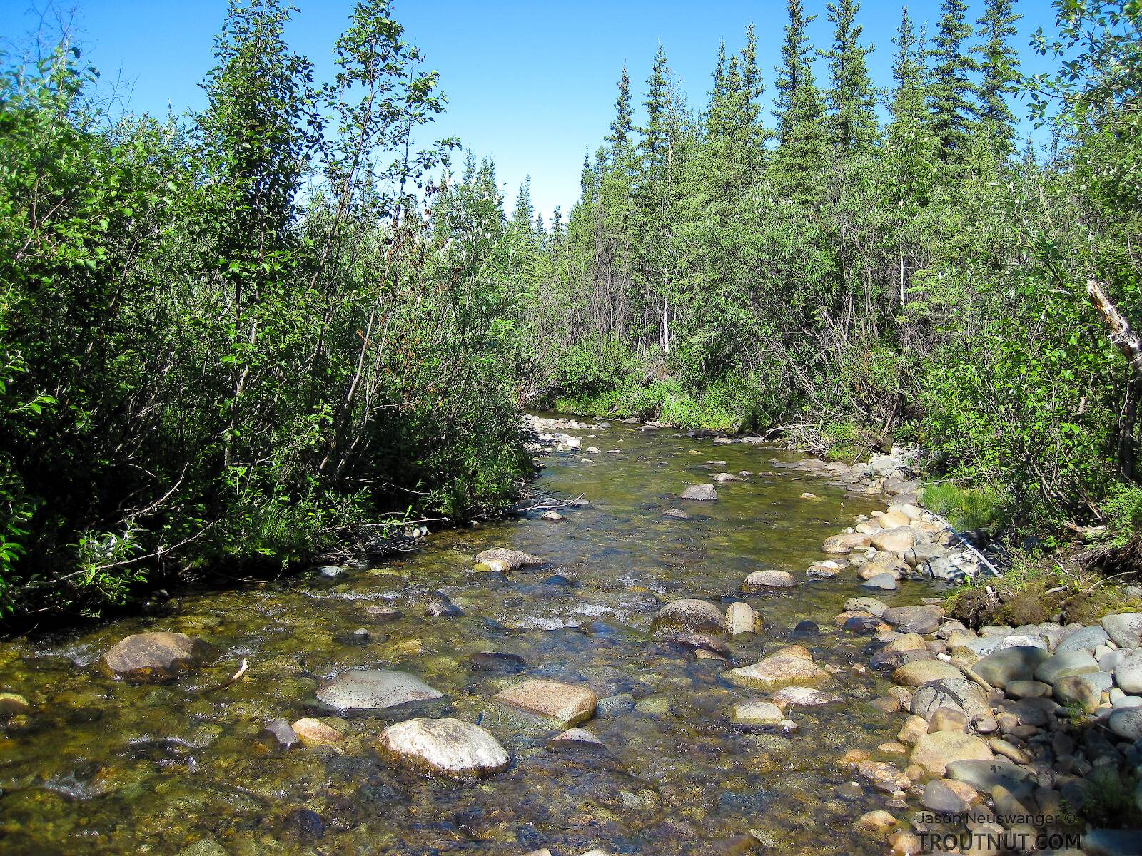 Small-stream brook trout in Alaska? Not exactly...