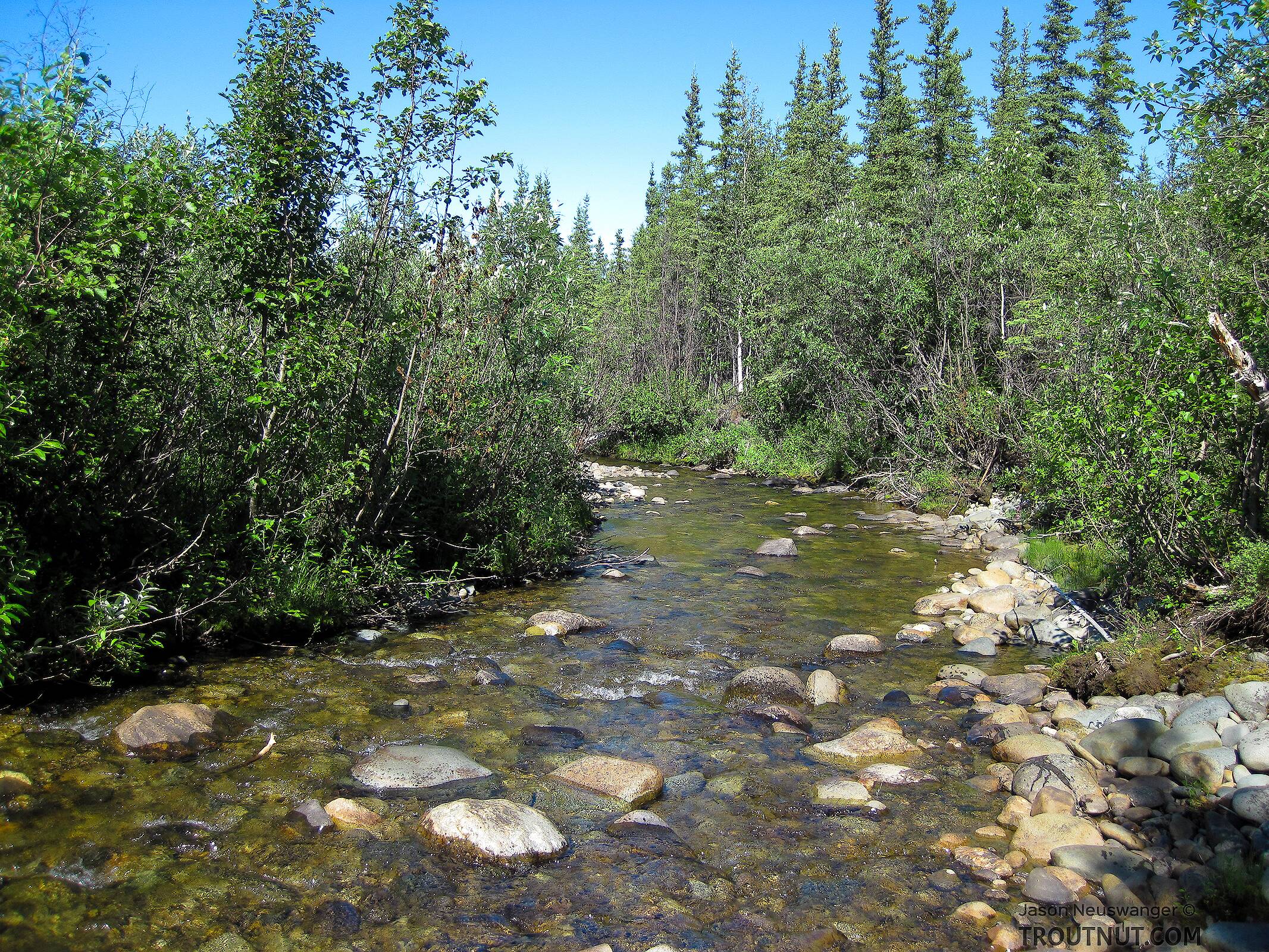 Small-stream brook trout in Alaska? Not exactly...