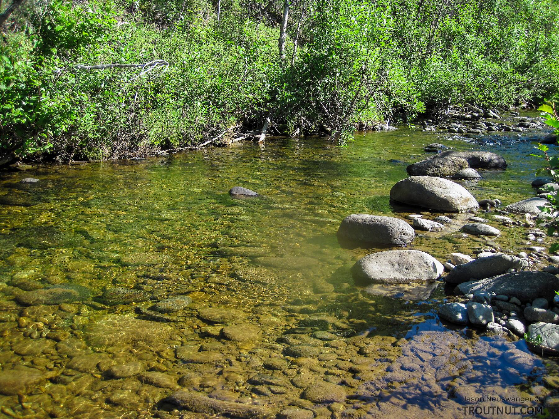 Small-stream brook trout in Alaska? Not exactly...
