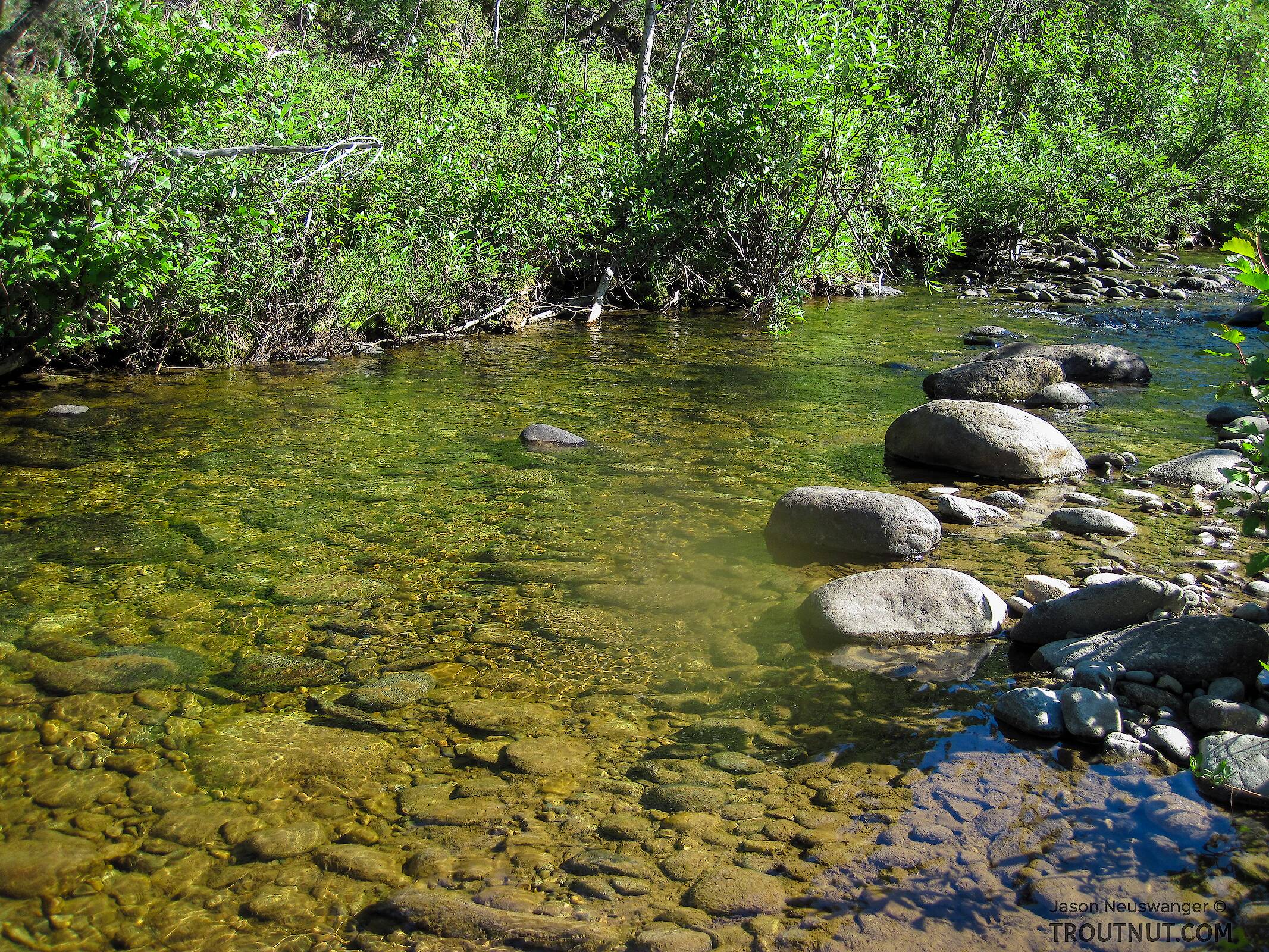 Small-stream brook trout in Alaska? Not exactly...