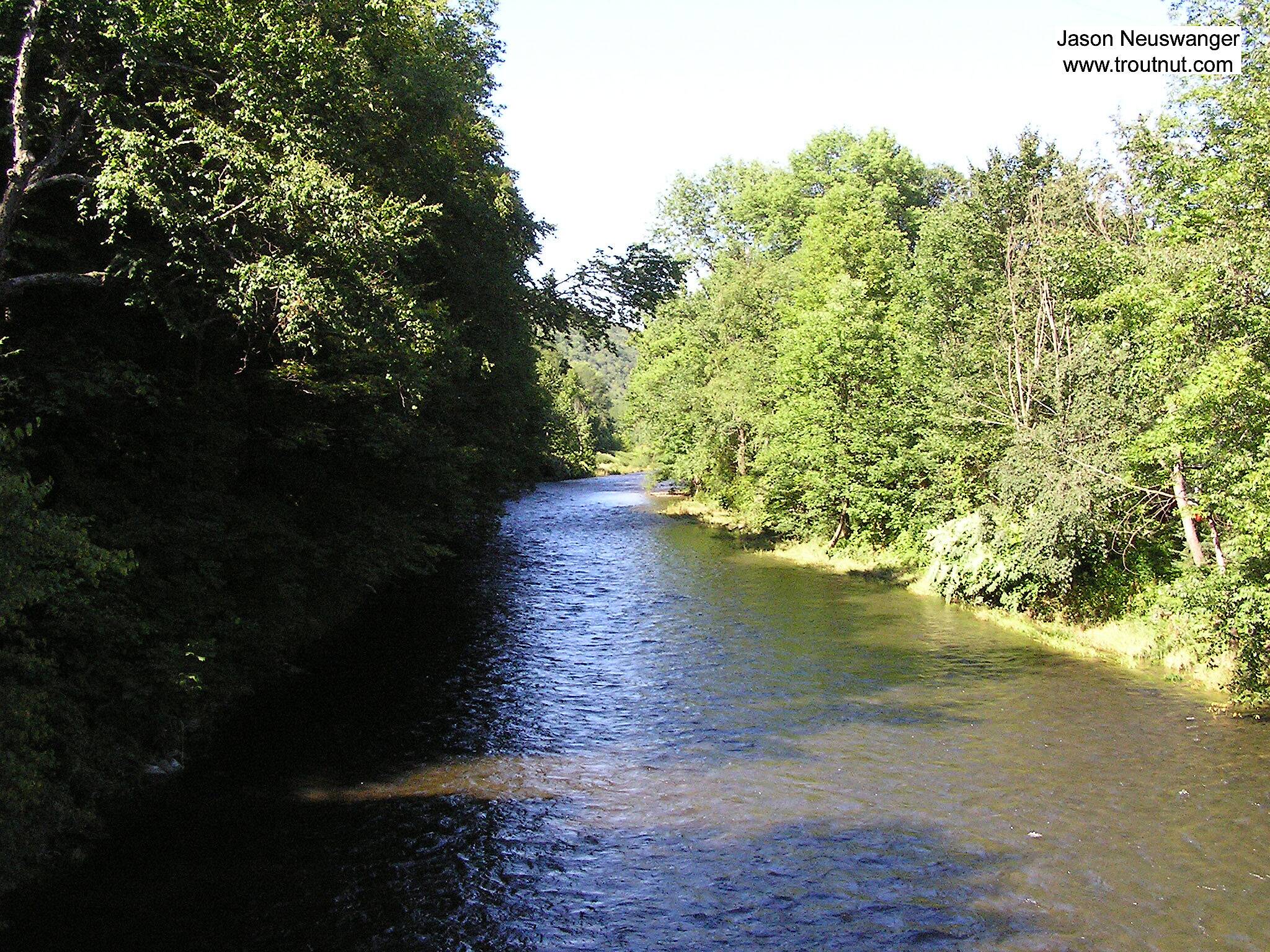 The Beaverkill River, New York