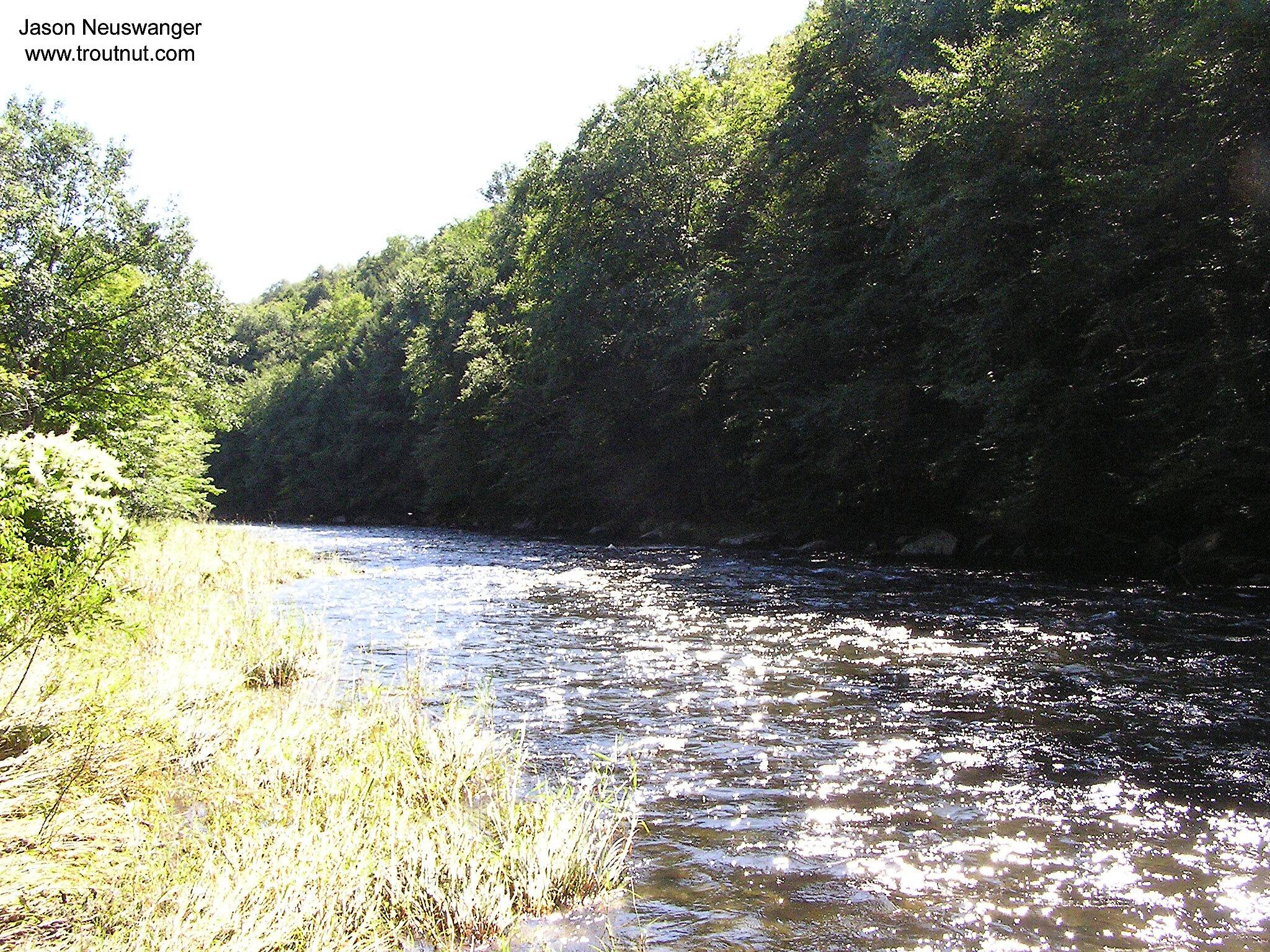 The Beaverkill River, New York